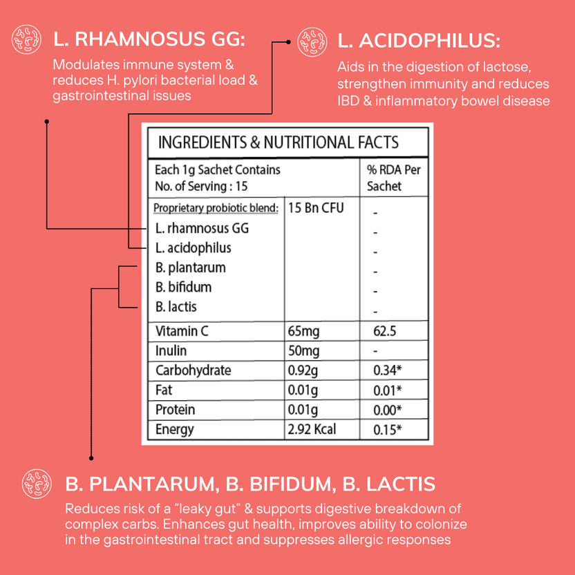 Gut Set Go | Better Probiotic | Daily Gut Booster – Sova Health